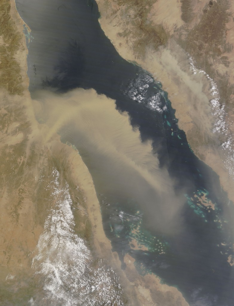 Global climate models fail to simulate key dust characteristics ...