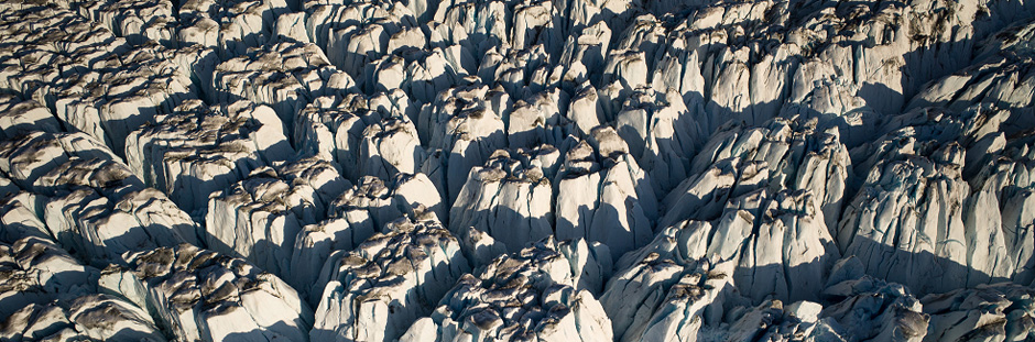 History on Ice: New insights from reviewing 60 years of crevasse ...