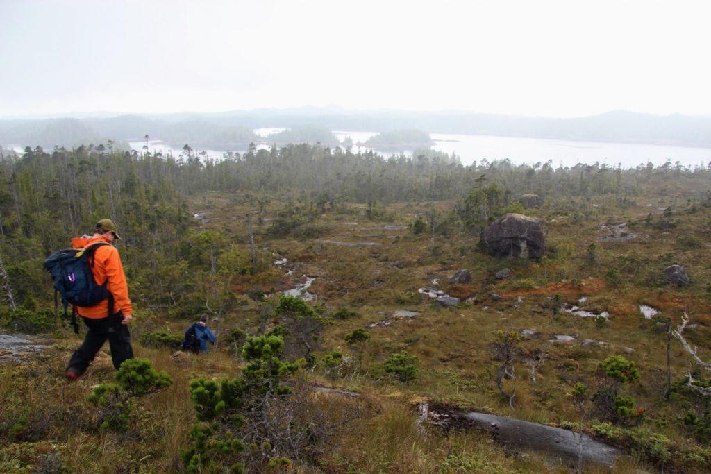 Ice age discovery may reveal early migration route of first Americans ...