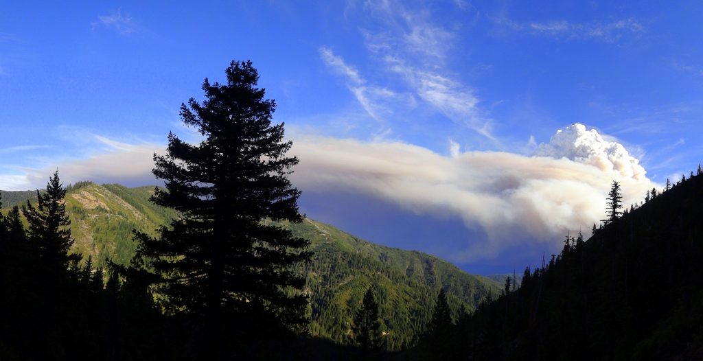Smoke from wildfires has cooling effect on water temperatures ...