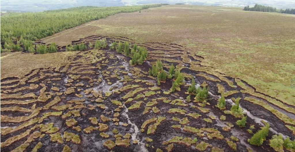 The Dawn of Hope peat slide: understanding the source area - The ...