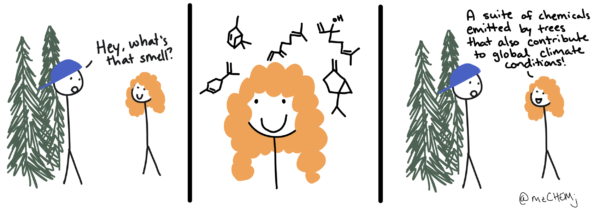 How to Sketch Your Science - The Plainspoken Scientist - AGU Blogosphere